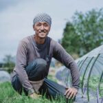 story&team - 薪火とお野菜 SHOTOEN